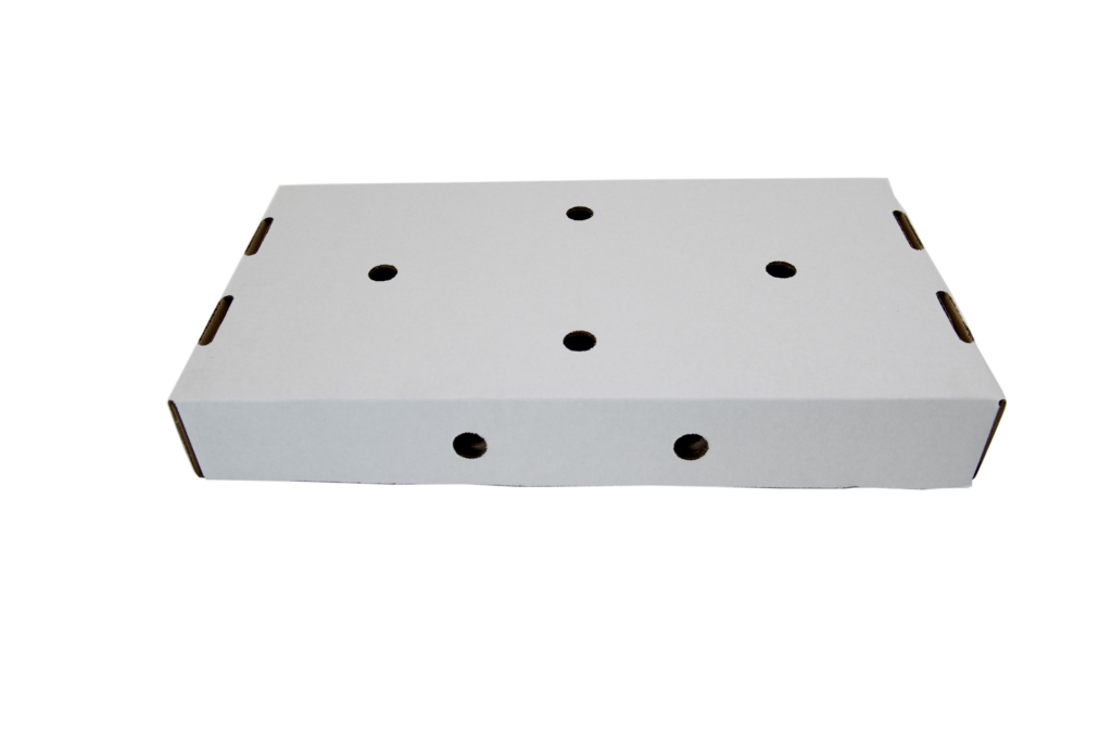 10 kg IQF 2pc Frozen Corrugated Box - Skips Marine - New Bedford, MA